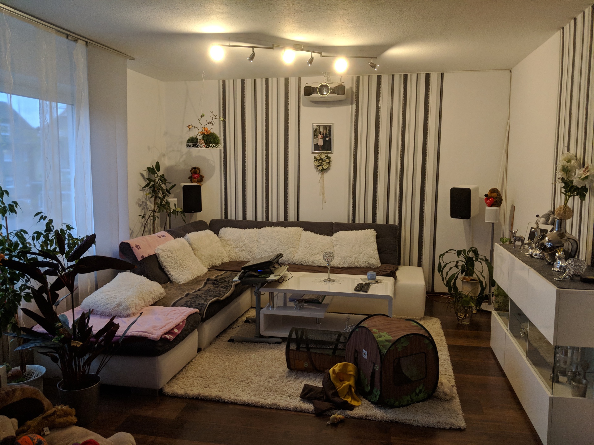 offtopic | hifi-forum.de Bildergalerie